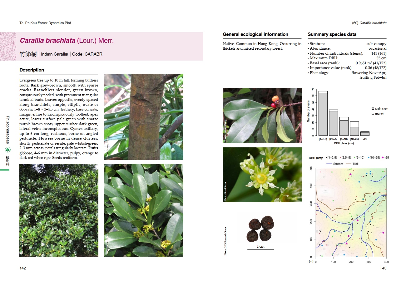 Tai Po Kau ForestGEO Forest Dynamics Plot: Species Composition and ...