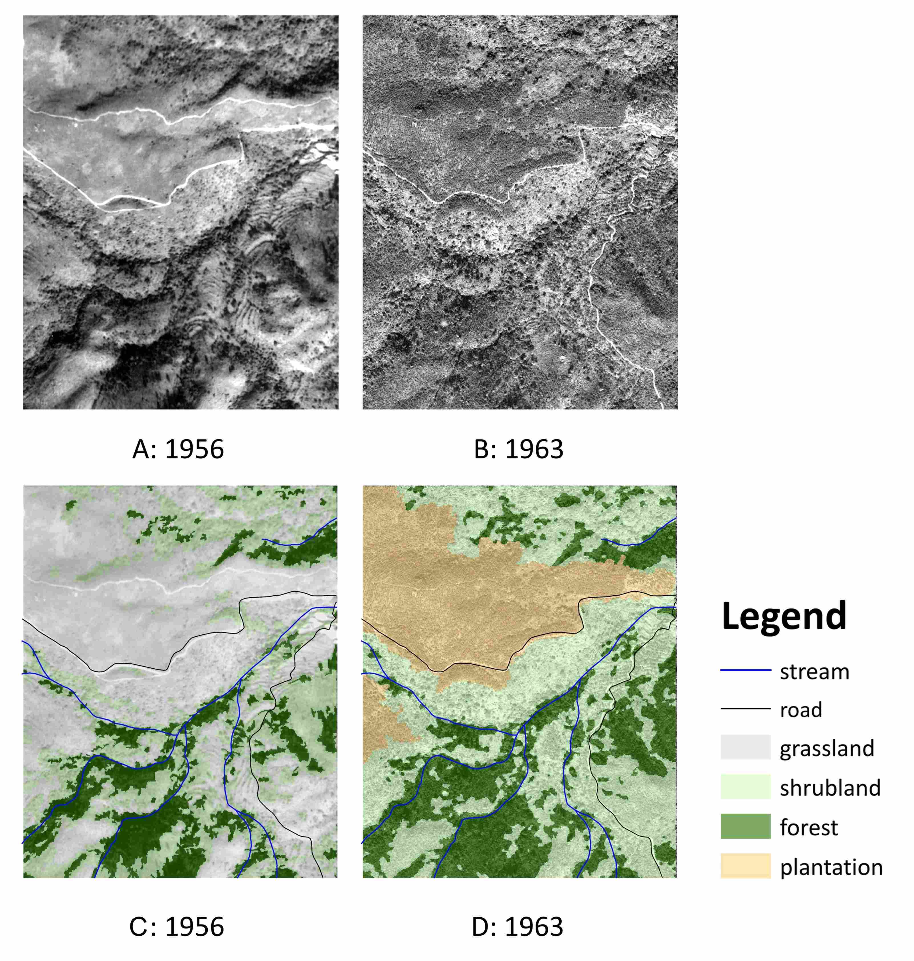 KFBG Study Finds That Trees Planted in Monocultures Impede Forest ...